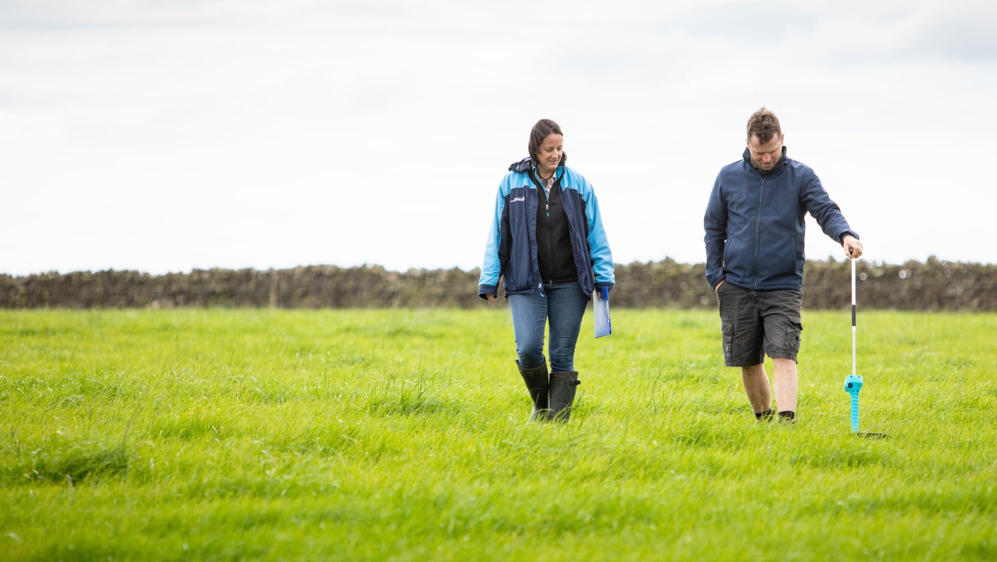 Pasture Management For Dairy Cows | Plate Meters | LIC Feed Budgeting