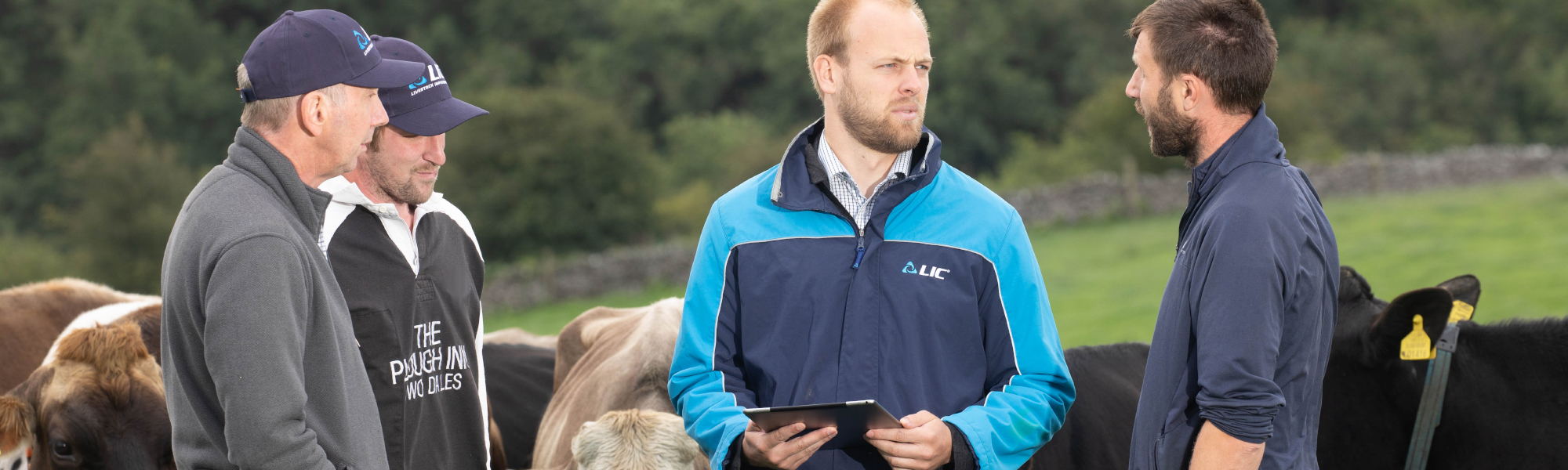 UK Farm Consultancy | Pasture Based Dairy Farming Increased Profits | LIC