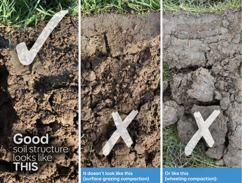 Soil fertility and health can improve resilience to price volatility ...