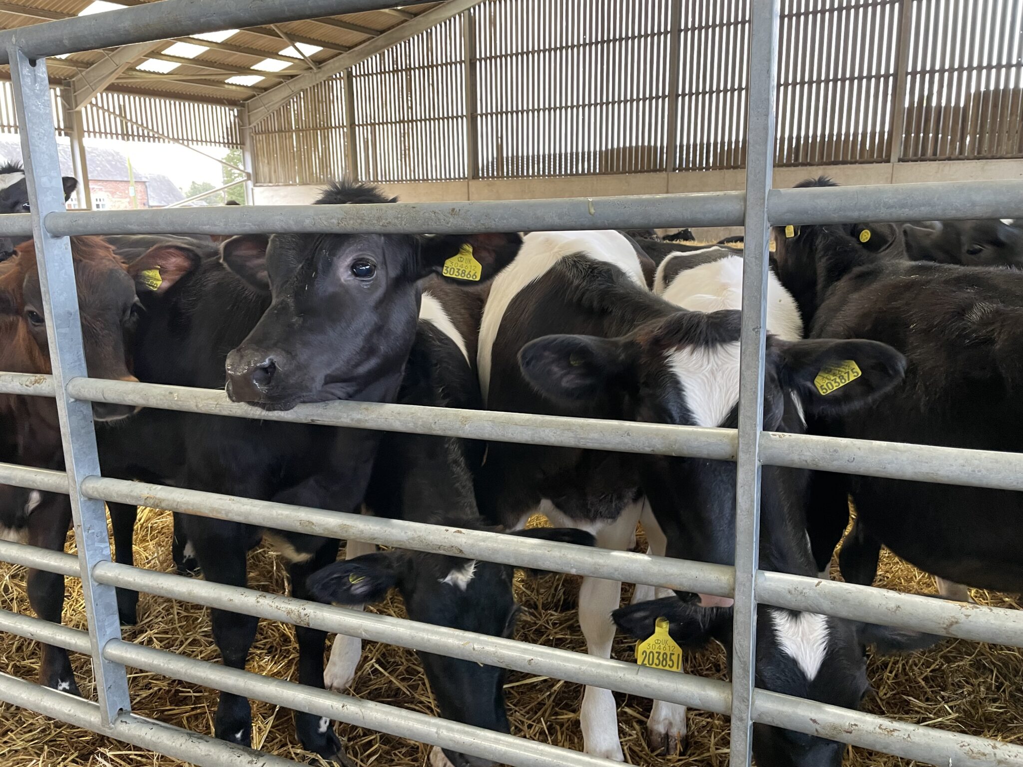 Start of mating and winter at Walford - LIC UK