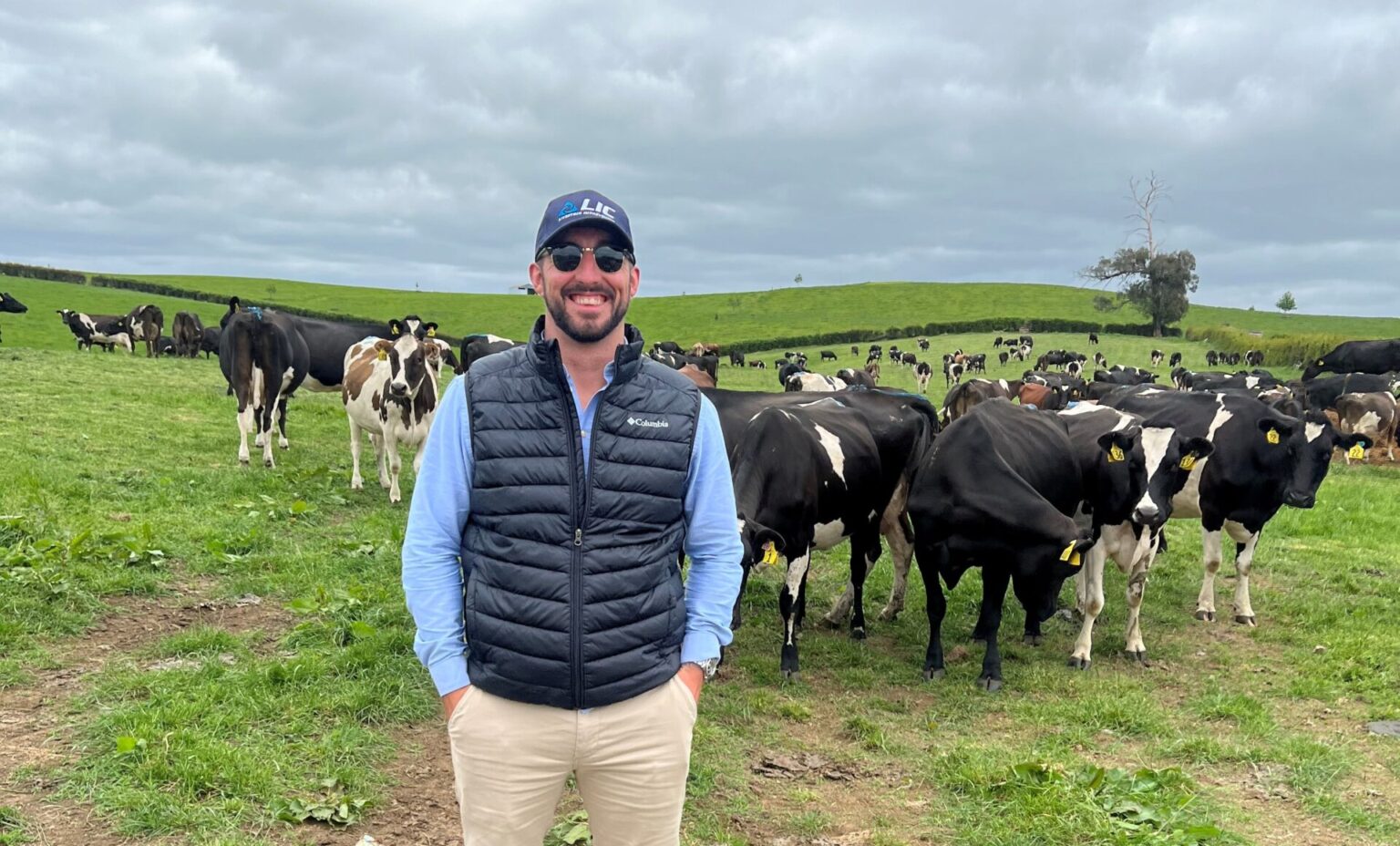 Improved Dairy Cow Production Breeding & Farm Management | LIC