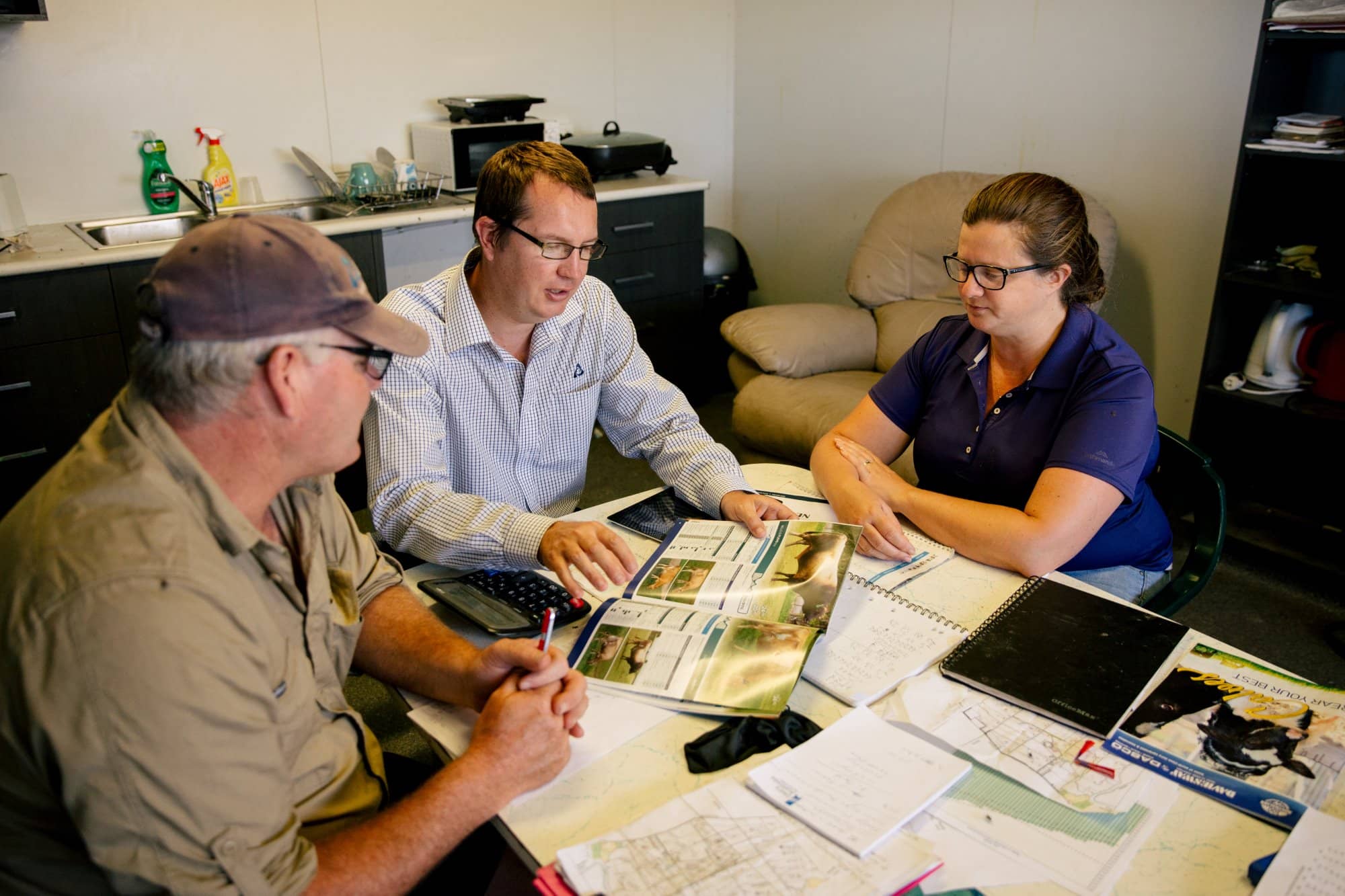 Cow Reproduction Calving Calendar | Dairy Herd Breeding Management UK